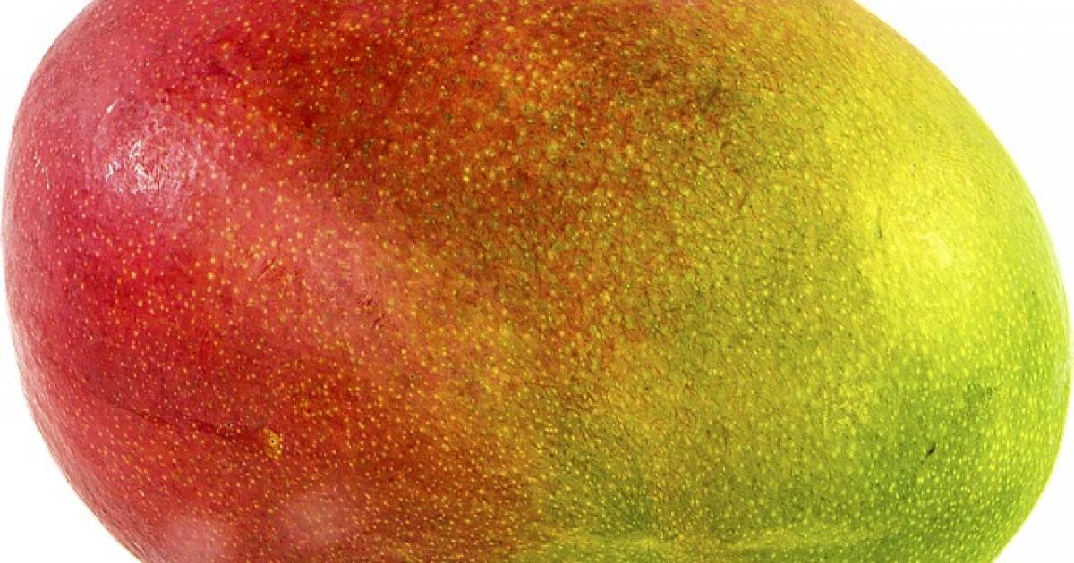 Jak si doma vypěstovat mango | jaktak.cz